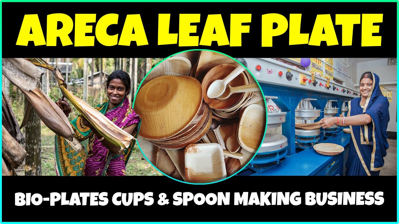 Areca Leaf Plate Making Business | Biodegradable Plates and Cups ...