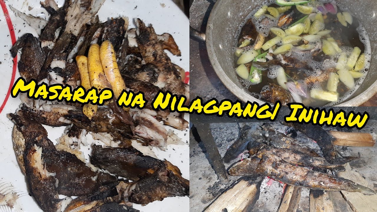 NILAGPANG NA HITO AT DALAG| TURAGSOY | buhay probinsya - YouTube