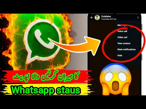 Whatsapp status bug future 2026