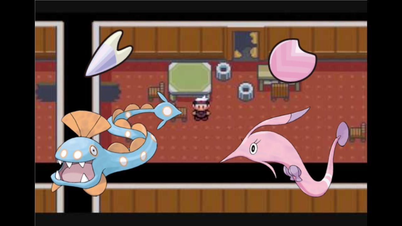 How To Get DeepSeaTooth/DeepSeaScale in Pokémon Ruby/Sapphire/Emerald ...