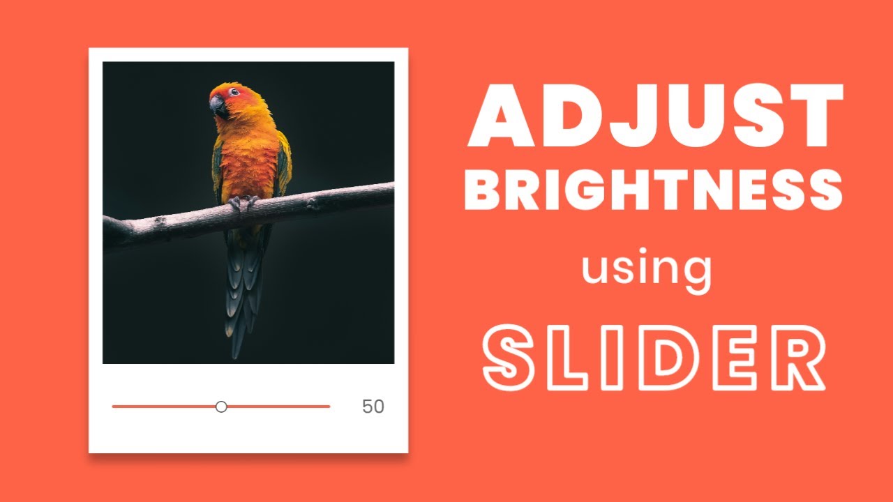 Adjust Image Brightness throw Slider in HTML CSS And JS | Javascript Brightness Controller - YouTube