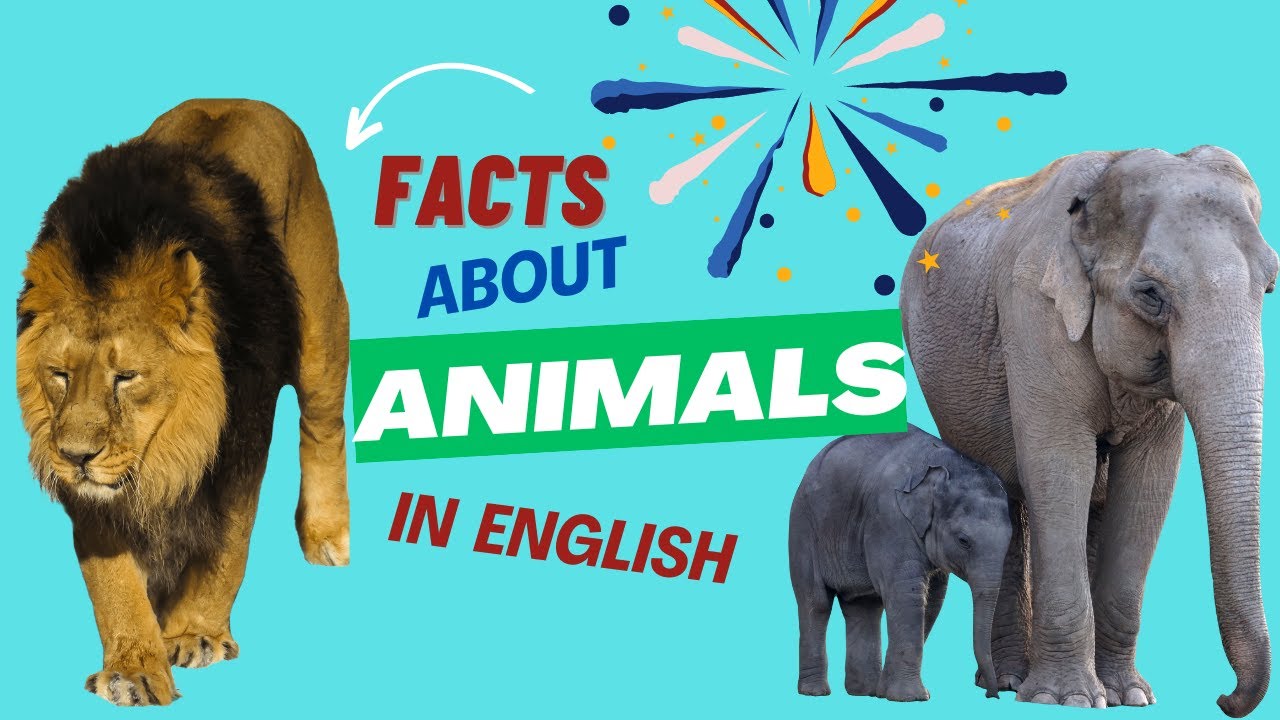 Animal Facts | Amazing Animals myths and facts that will surprise you ...