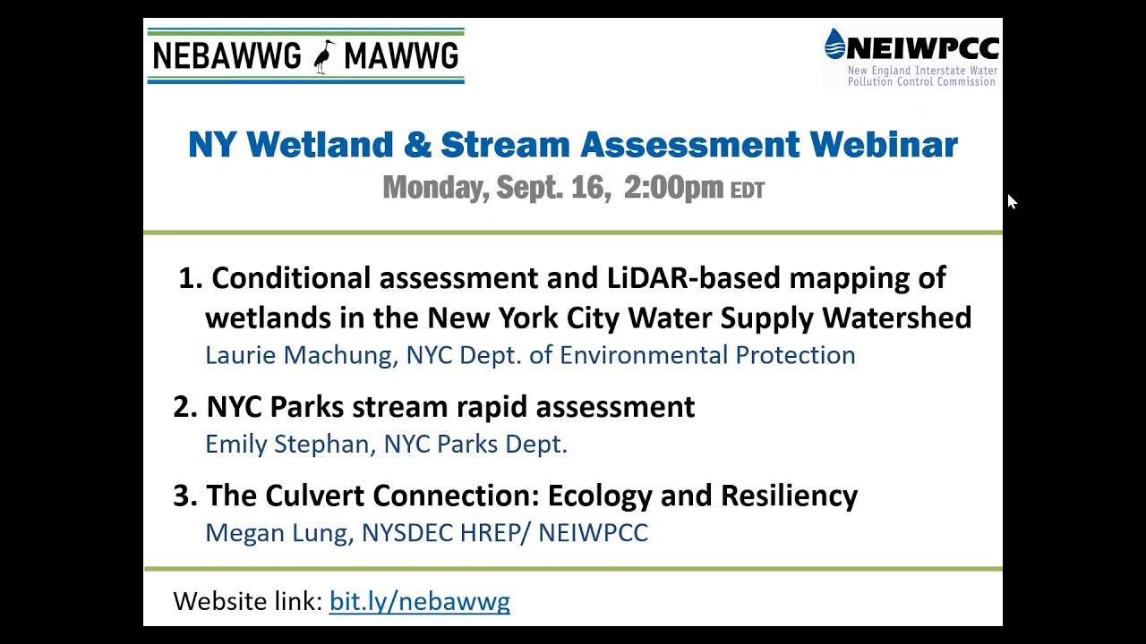 NY Wetland & Stream Assessment Webinar - YouTube