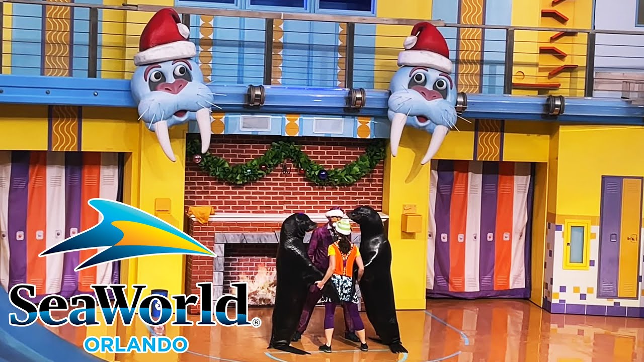 Sea Lion High: The Christmas Special 2020 | SeaWorld Orlando - YouTube