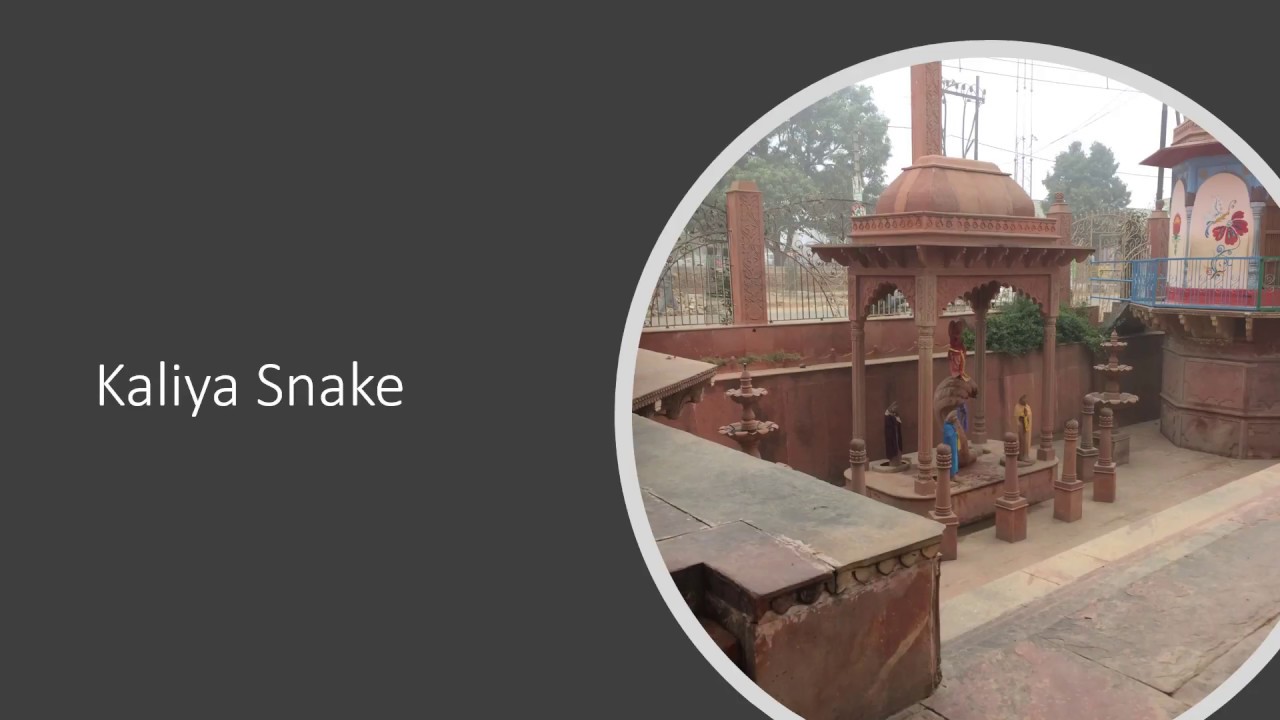 Kaliya Snake - YouTube