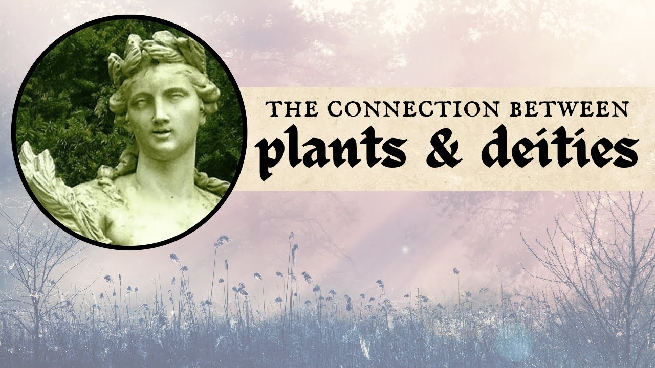Plants & Deities | Exploring the Connections - YouTube