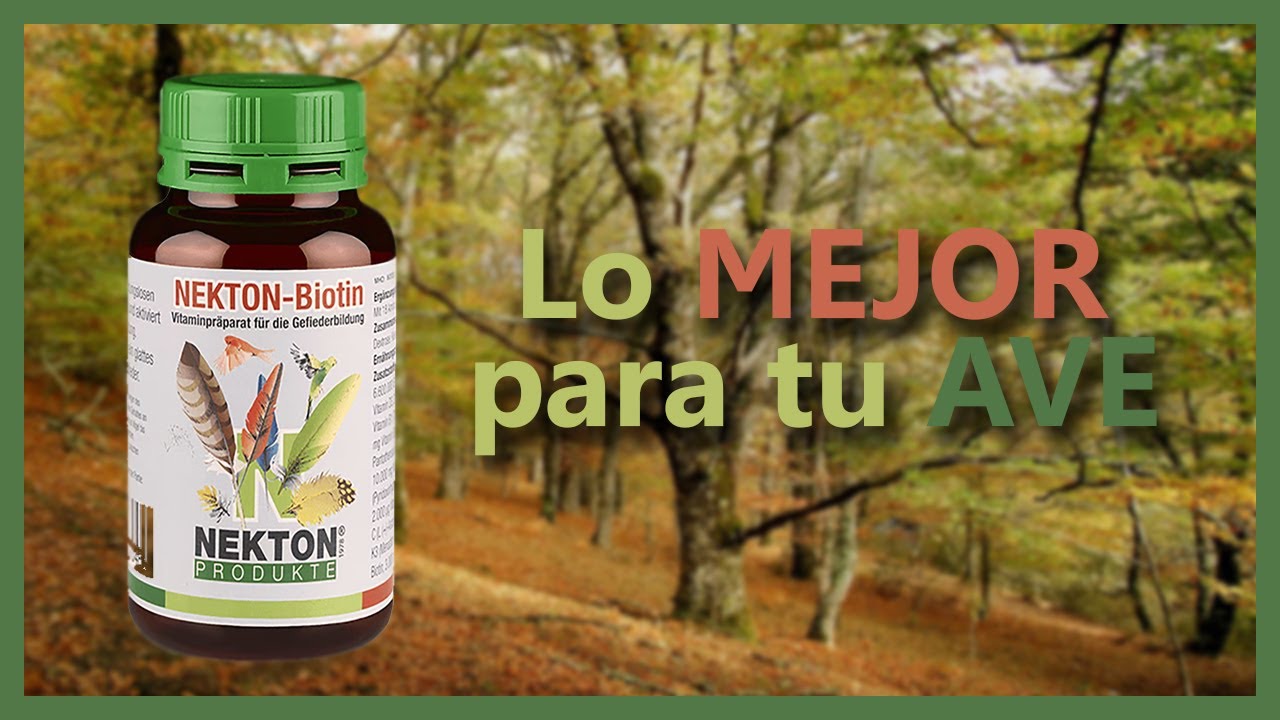 🍎 Nekton BIOTIN (bien explicado) - YouTube