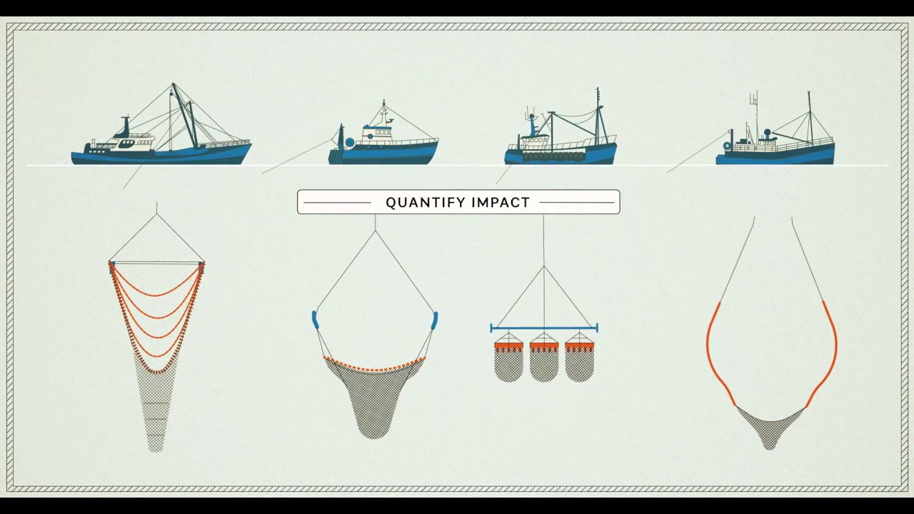 Trawling impact assessment - YouTube