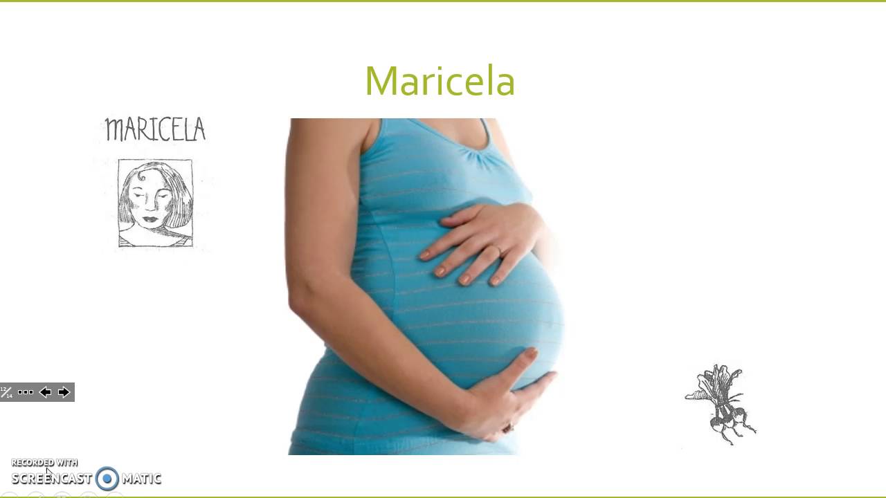 Seedfolks Ch 11 Maricela YouTube seedfolks-ch-11-maricela-youtube