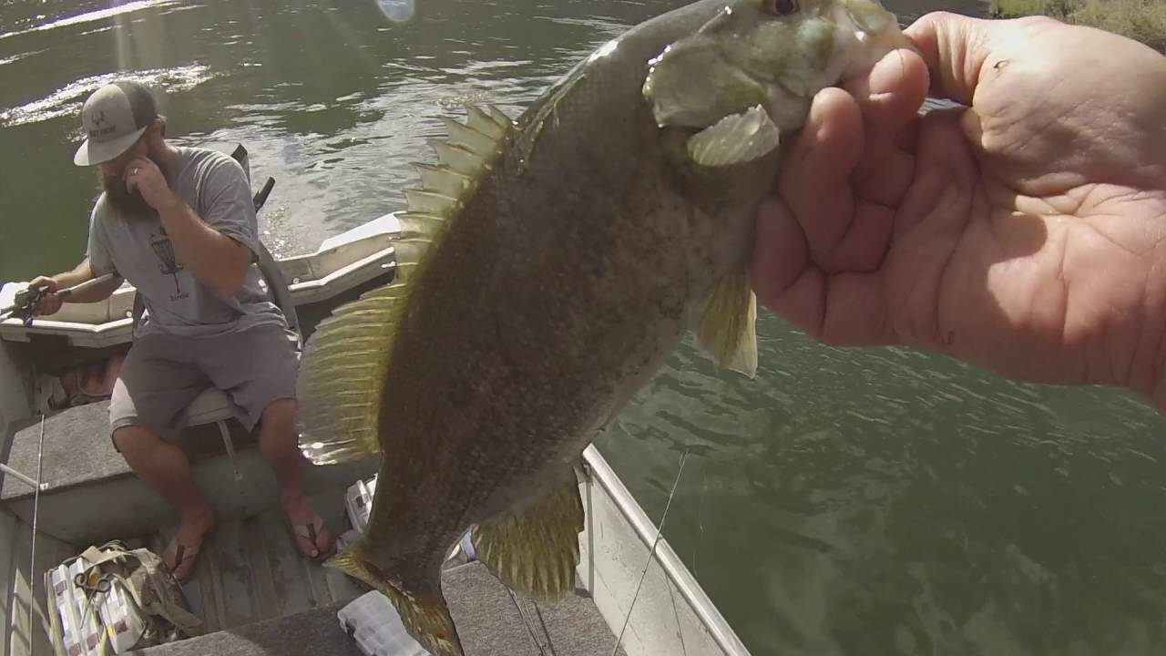 Small mouth fishing ledges - YouTube