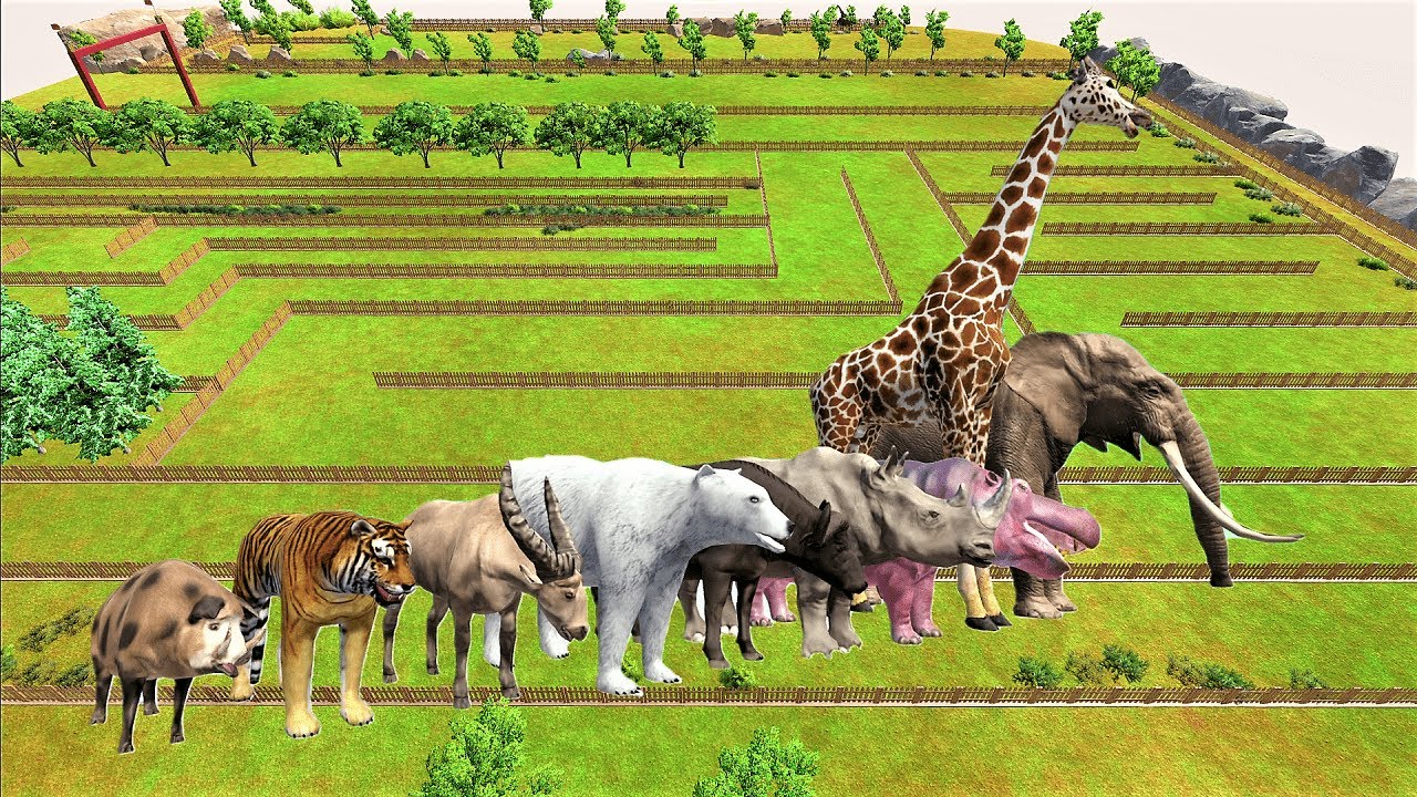 Animal speed race. Fenced grassland field course! | Animal Revolt ...