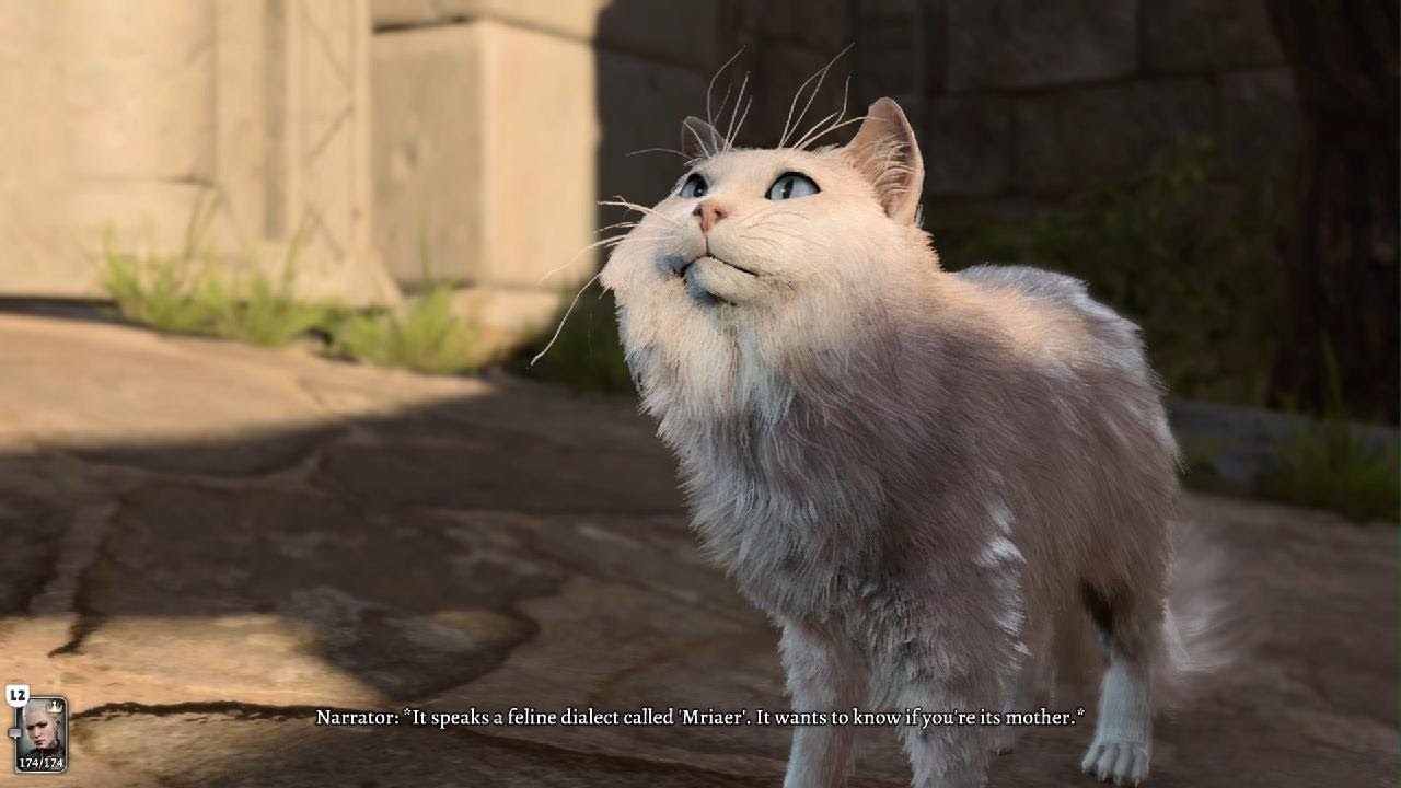 [BG3 Baldur's Gate 3] Lower City Central Wall: Myshka Gets Adopted ...