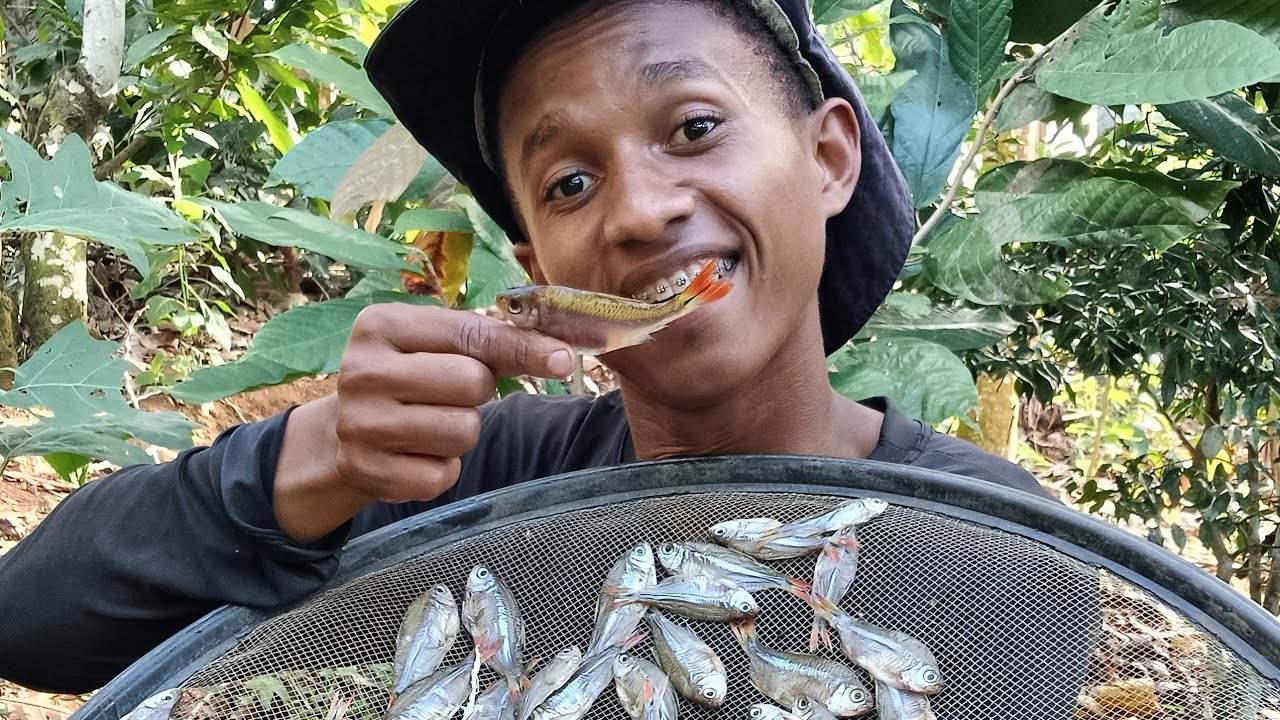 Comendo piaba frita #peixes - YouTube