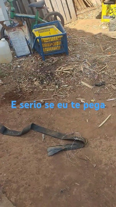 Eu vou ficar bem não se preocupe com migo deixa o like ️‍🩹 ️‍🩹amo vcs ️‍🩹 ️‍🩹 ️‍🩹 - YouTube