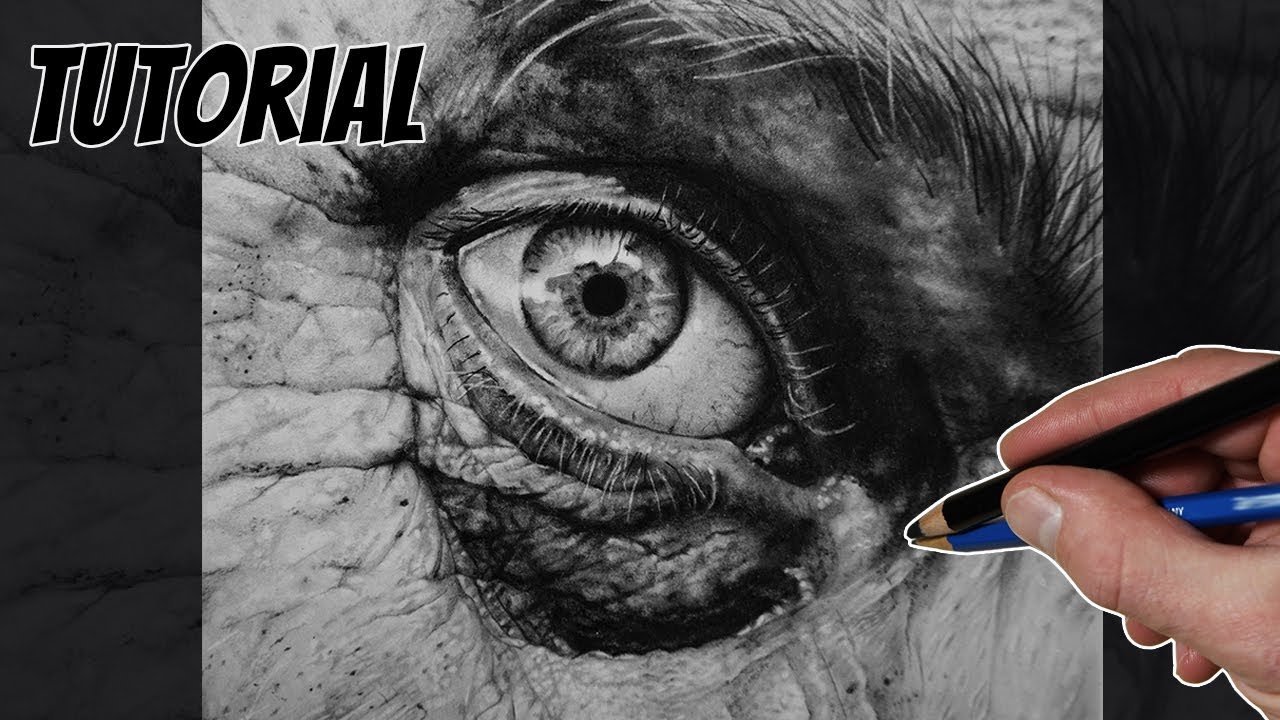 Bring Your Drawings to Life: How to Draw Realistic Eyes with Graphite ...
