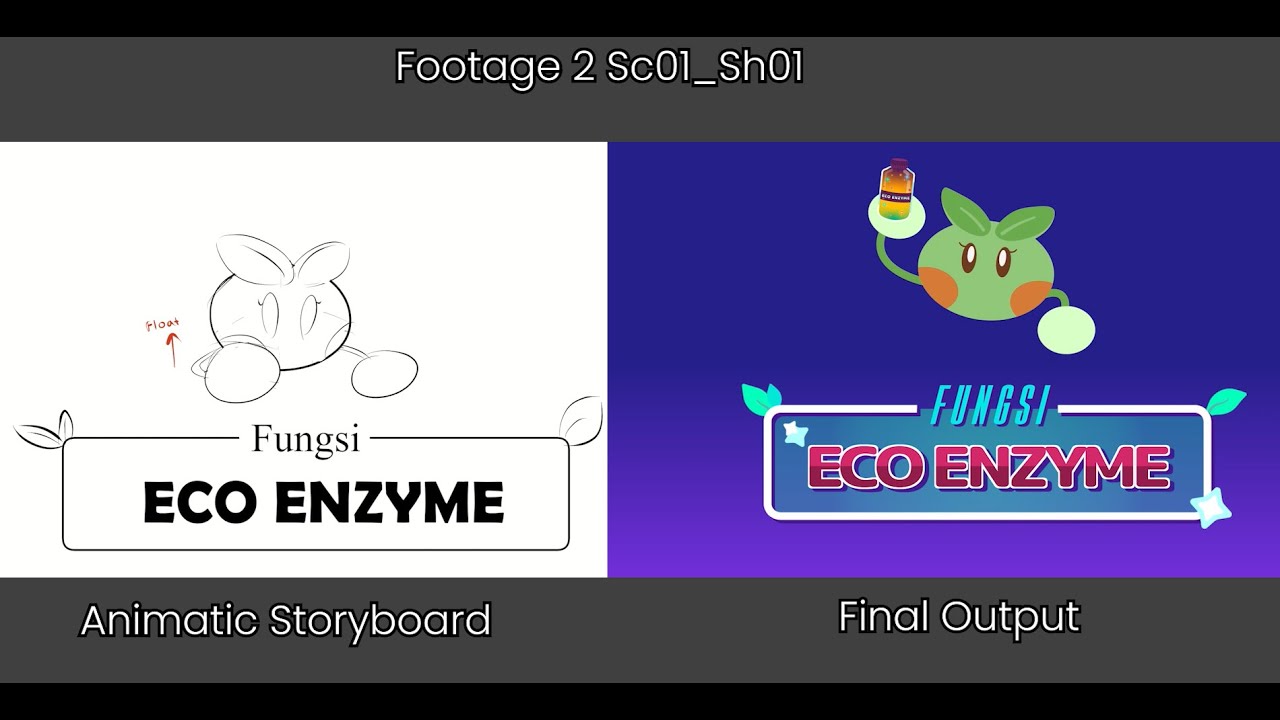 Video Editing & Storyboard Reels from a Motion Graphic Project "Eco ...