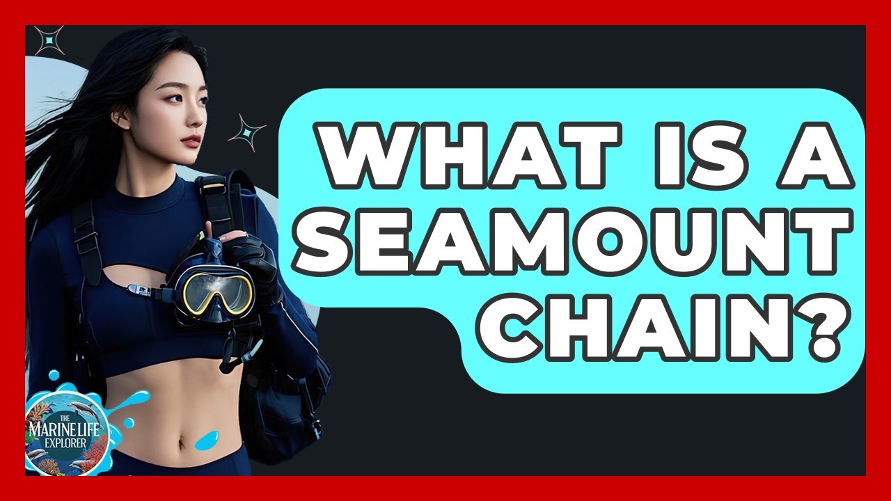 What Is A Seamount Chain? - The Marine Life Explorer - YouTube