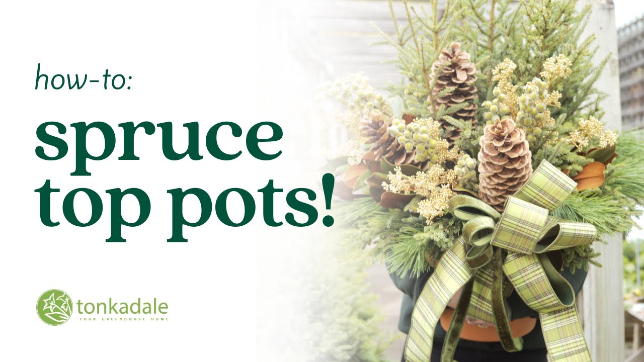 How-to: Spruce Top Pots! - YouTube