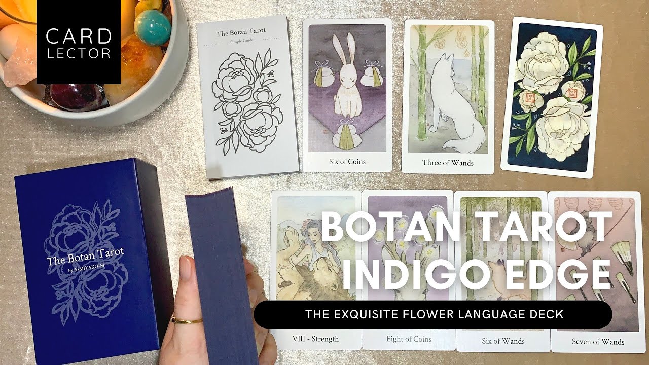 BOTAN TAROT [Indigo Edge] - Review by CardLector - YouTube