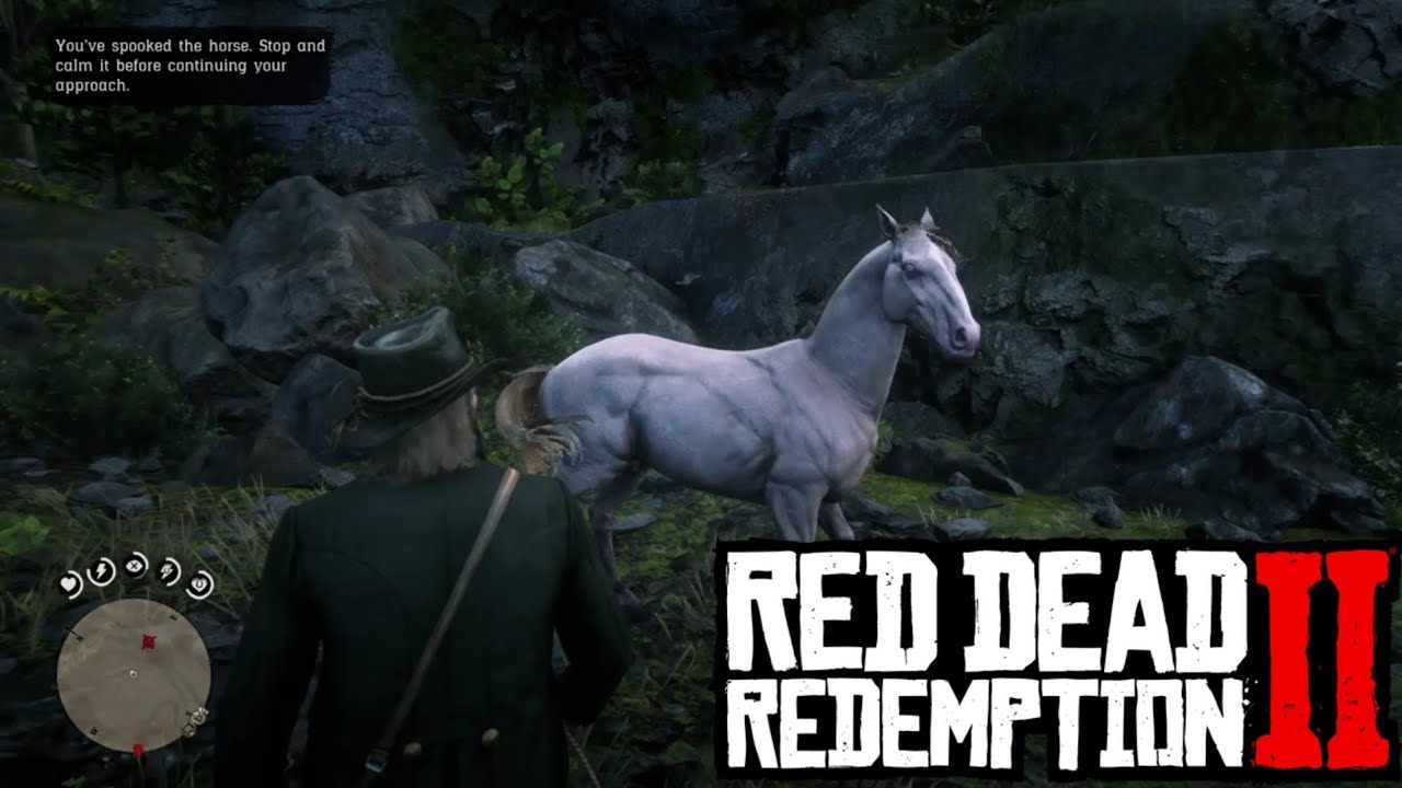 Special horse Perlino Andalusian - Red Dead Redemption 2 - YouTube