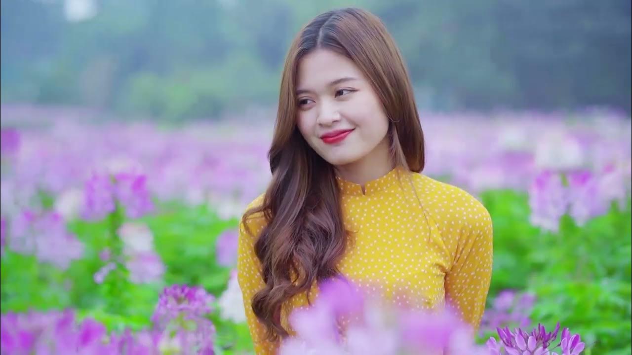 116 The Music Box Bolero Viet Nam Bolero Viet Nam Is The Best The Perfect Bolero Vietnam