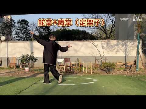 Xing Yi Bagua Palm  形意八卦掌 of Zhang Zhaodong