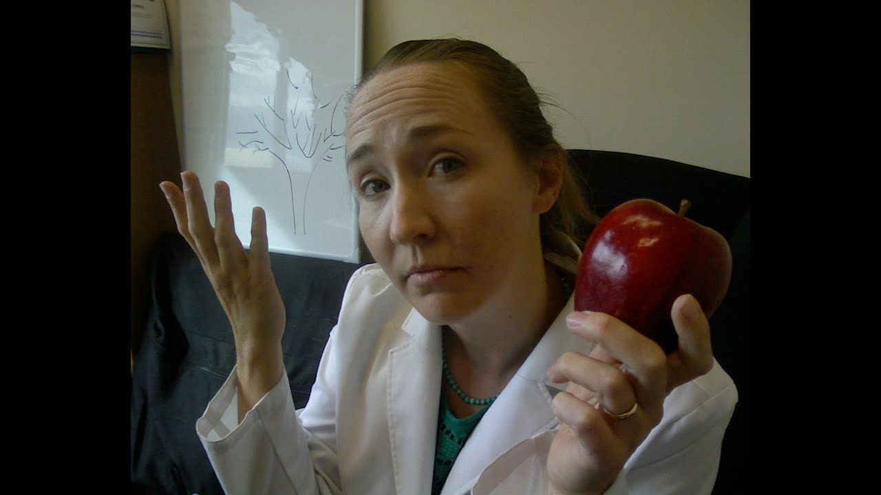 How Do Doctors Make A Diagnosis YouTube how-do-doctors-make-a-diagnosis-youtube