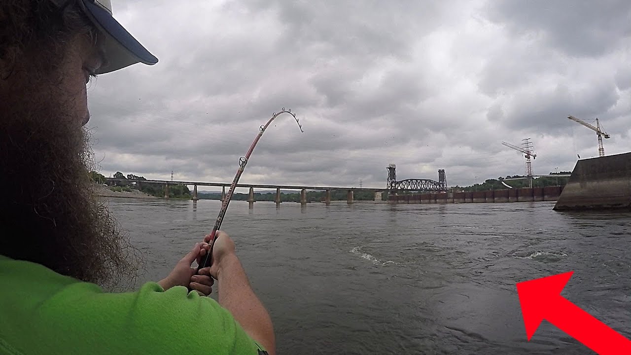 60 LB GIANT Catfish Caught From The Boil (Ft. Realistic Fishing) - YouTube