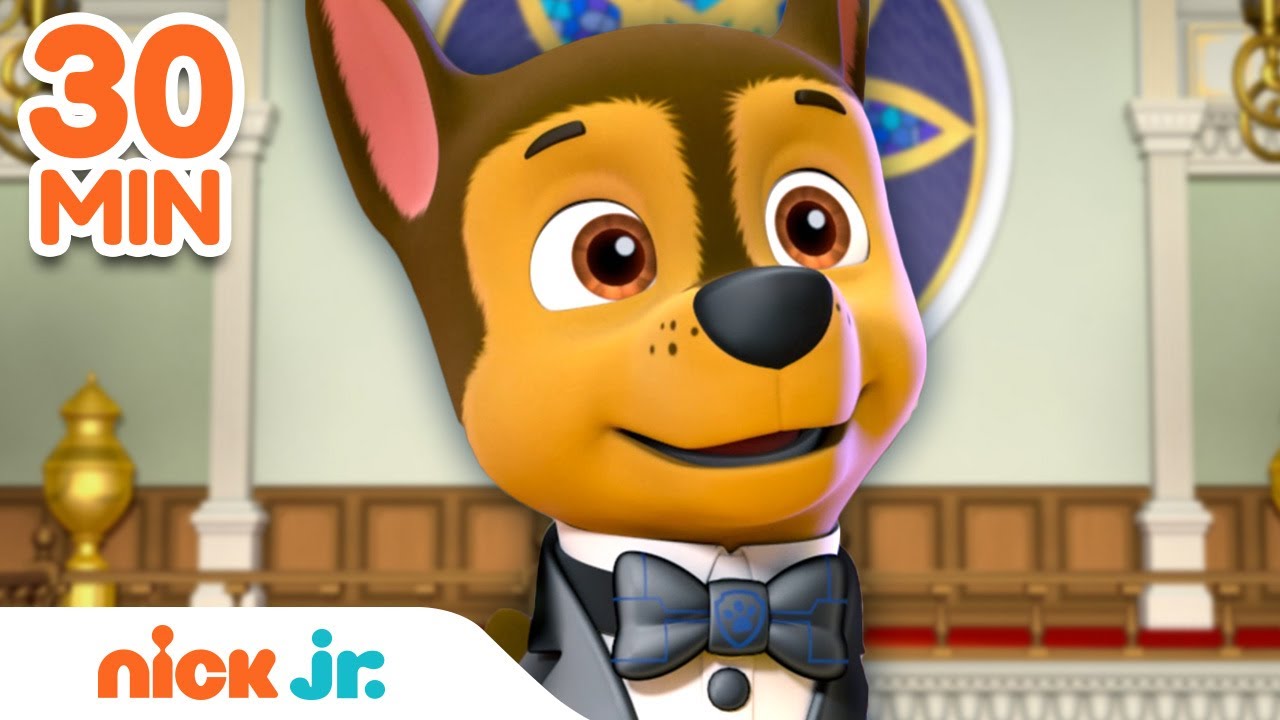 PAW Patrol Chase Undercover Pup Rescues! w/ Marshall & Rubble | 30 ...