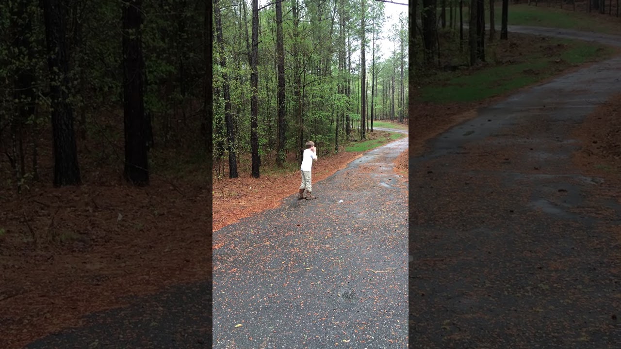 Yelping and cutting - YouTube