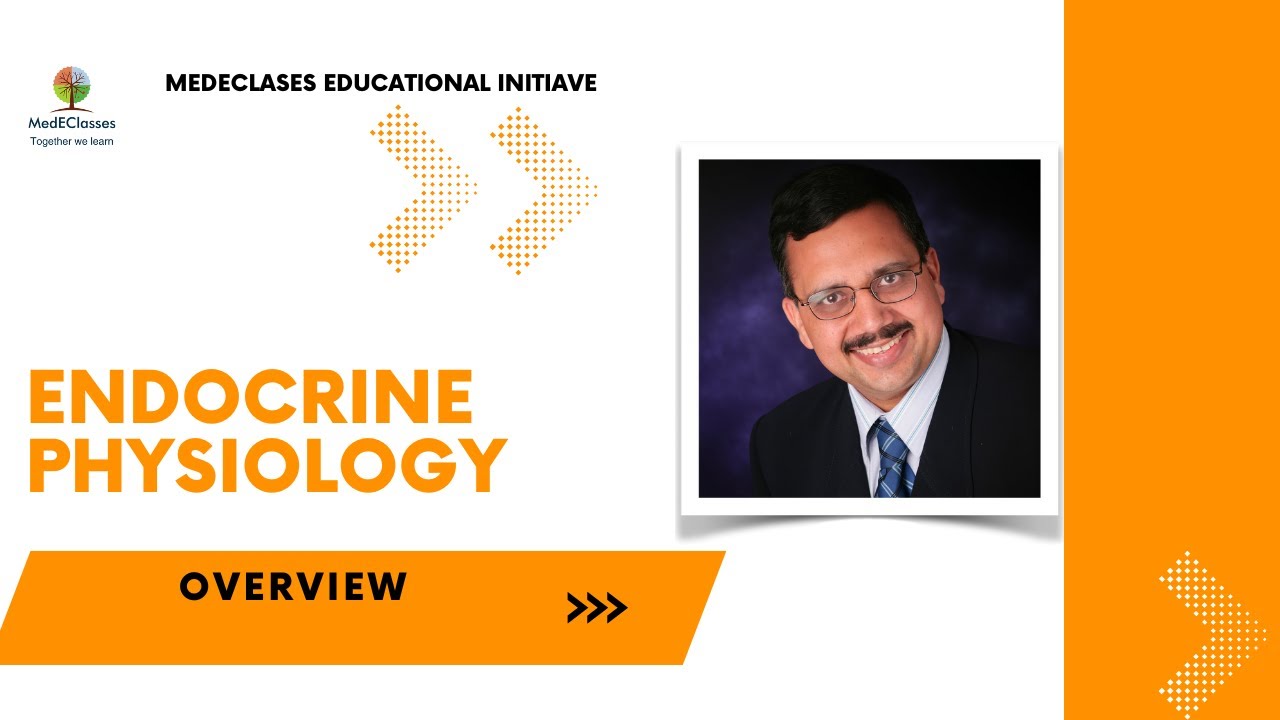 MedEClasses Module Endocrine Physiology Overview - YouTube