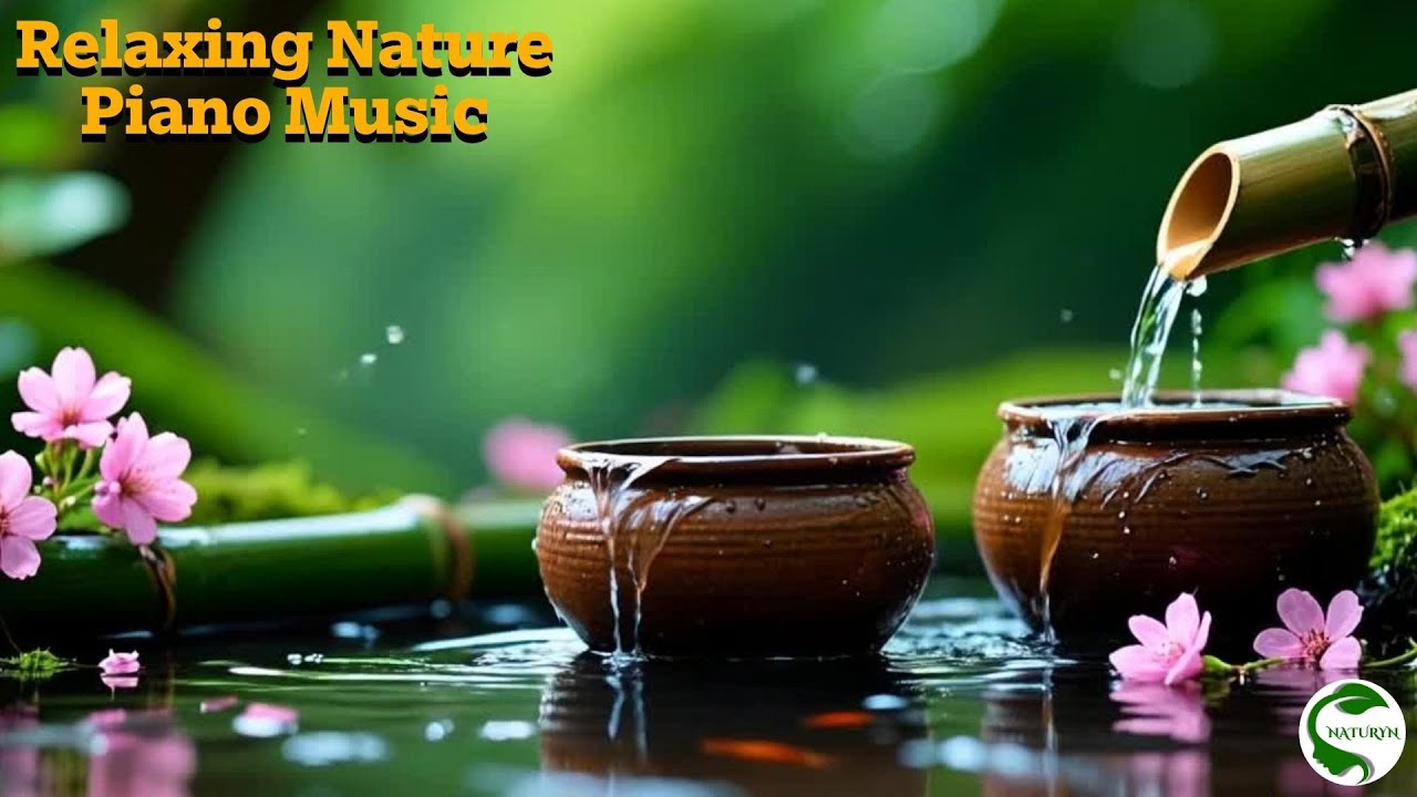 Relaxing Nature Piano Music 🌿 Let the Forest Heal Your Mind - YouTube