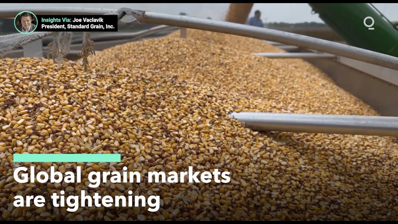 Global Grain Markets Brace for a Tightening - YouTube