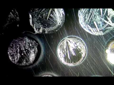 3HPA matrix growing crystals for MALDI TOF - YouTube