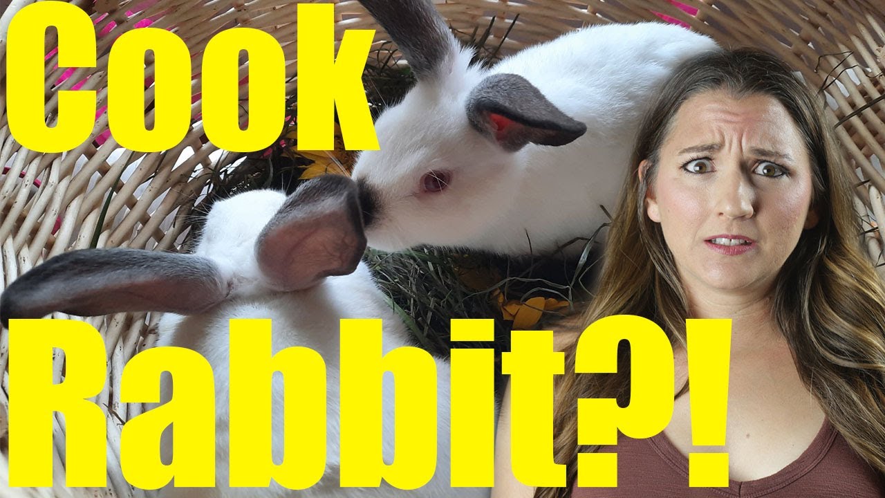 How to cook bunny meat - YouTube