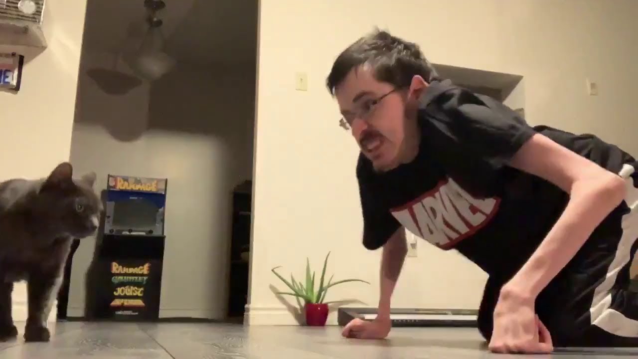 MAD CAT 😾 - Ricky Berwick - YouTube