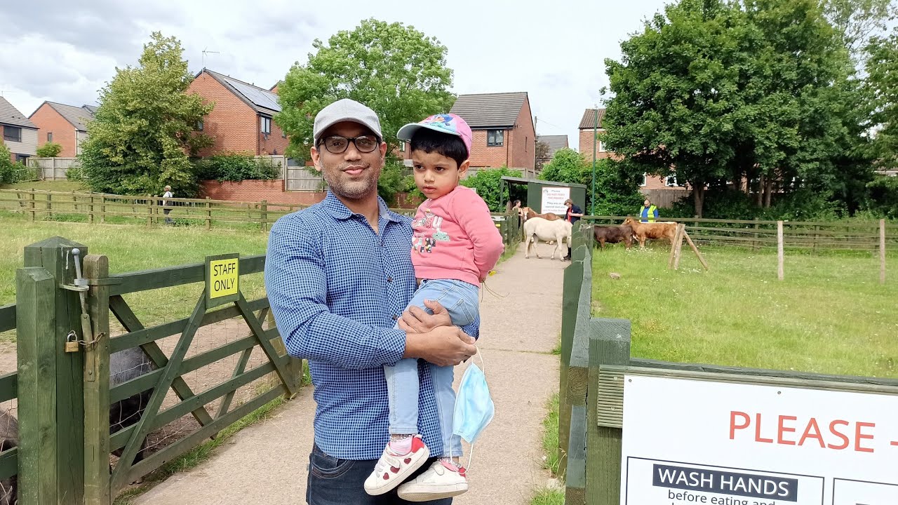 Farm animals England | Stonebridge City Farm Nottingham | animal farm ...