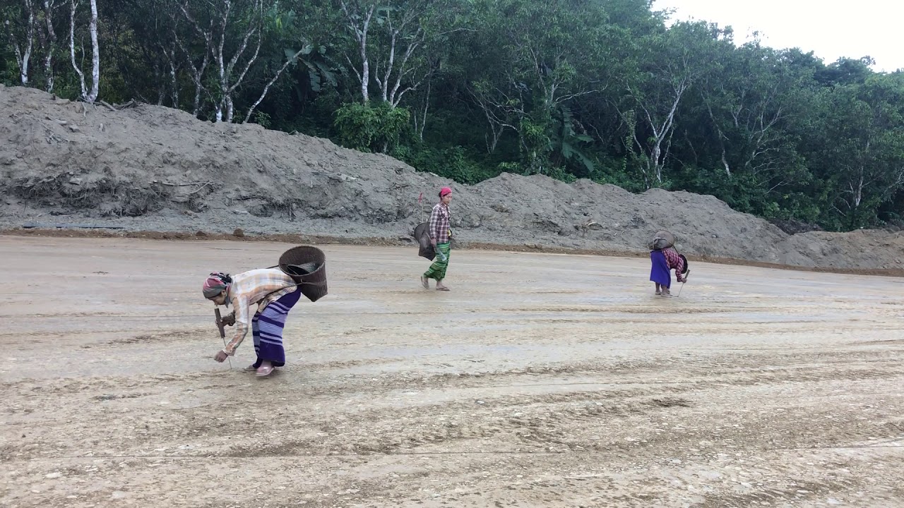 Paletwa zorinpui road - YouTube