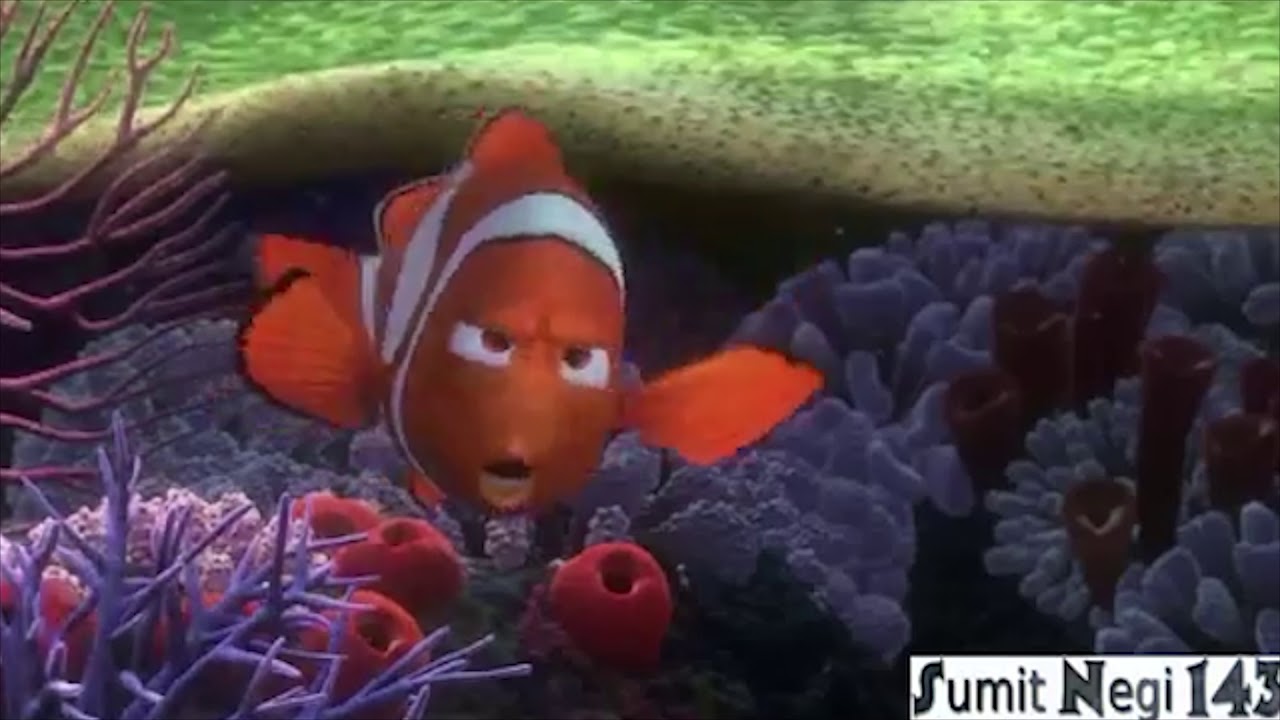 NEMO TOUCHES THE BUTT - YouTube