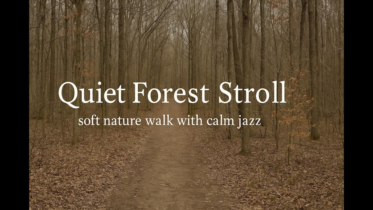Quiet Forest Stroll /Peaceful Nature Walk with Calm Jazz (SONG) - YouTube