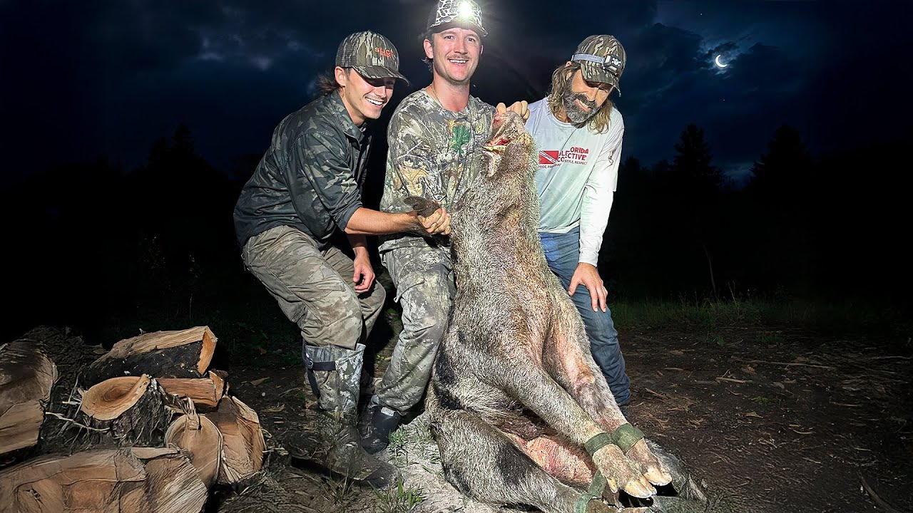 Catching Giant Hogs With Dogs ( With Python Cowboy) - YouTube