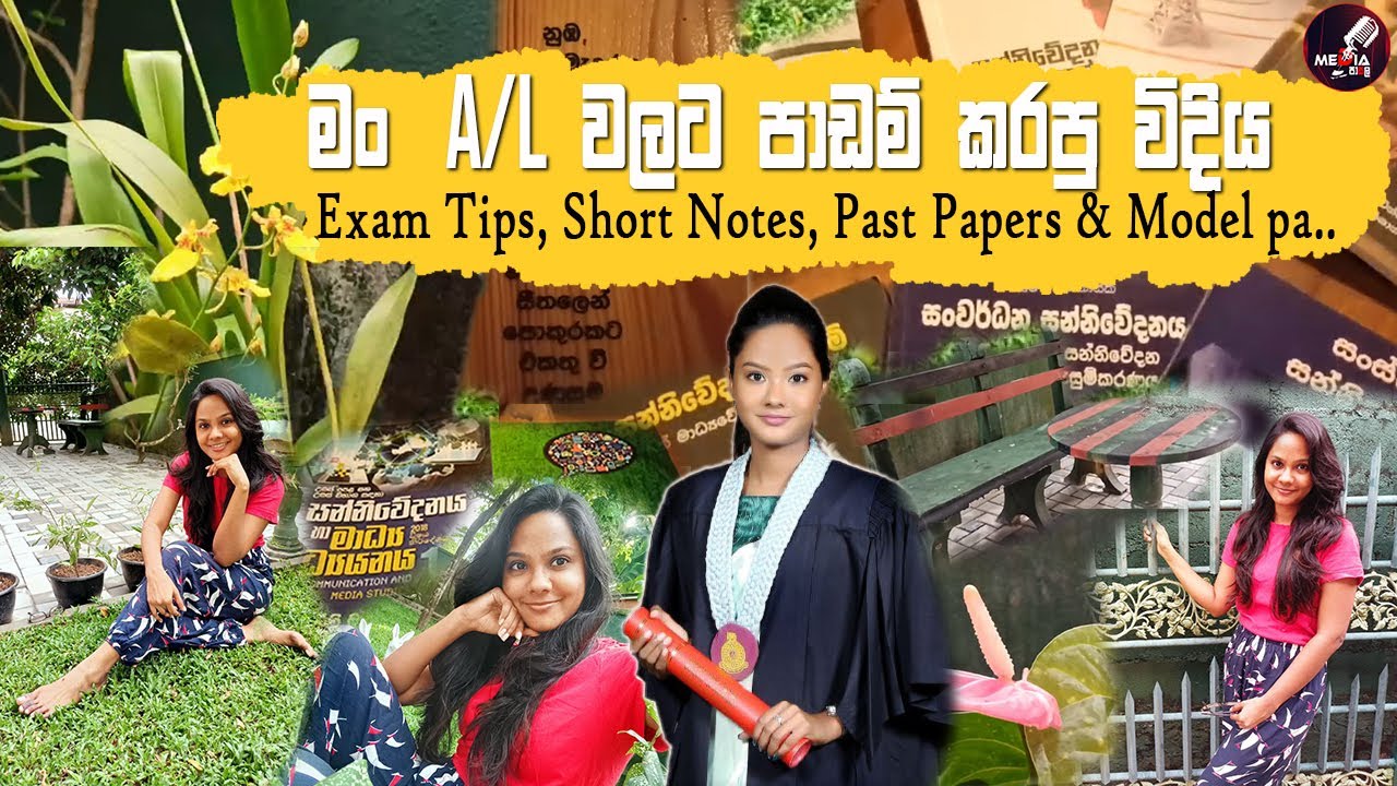මං A/L වලට පාඩම් කරපු විදිය.. Exam Tips, Past Papers, Model Papers ...