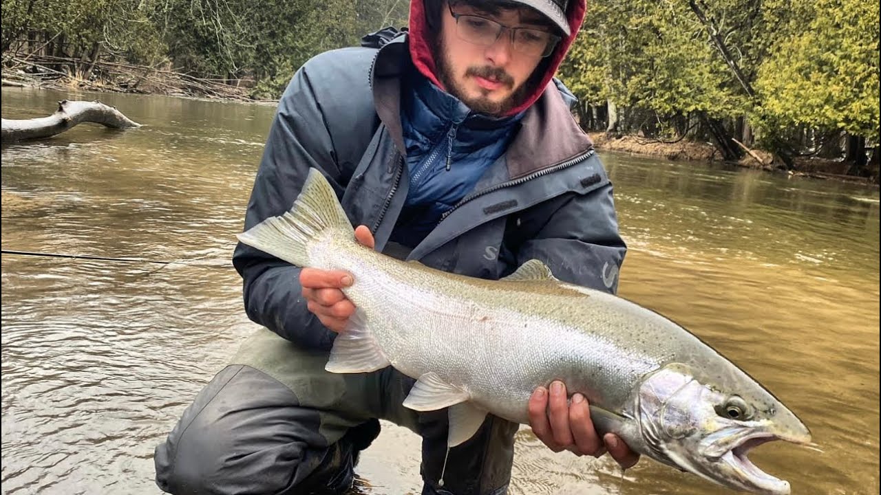 Michigan Steelhead Fishing Part 2 - YouTube