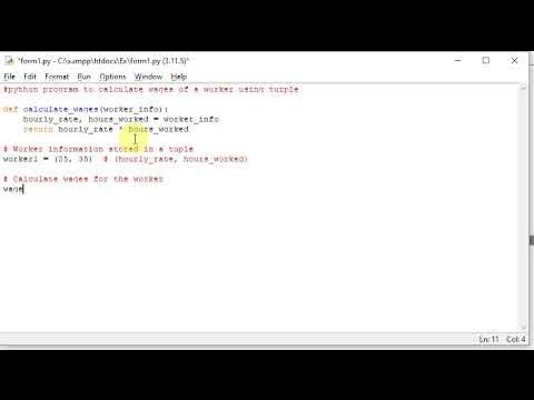 python program to calculate wages of a worker using tuple - YouTube