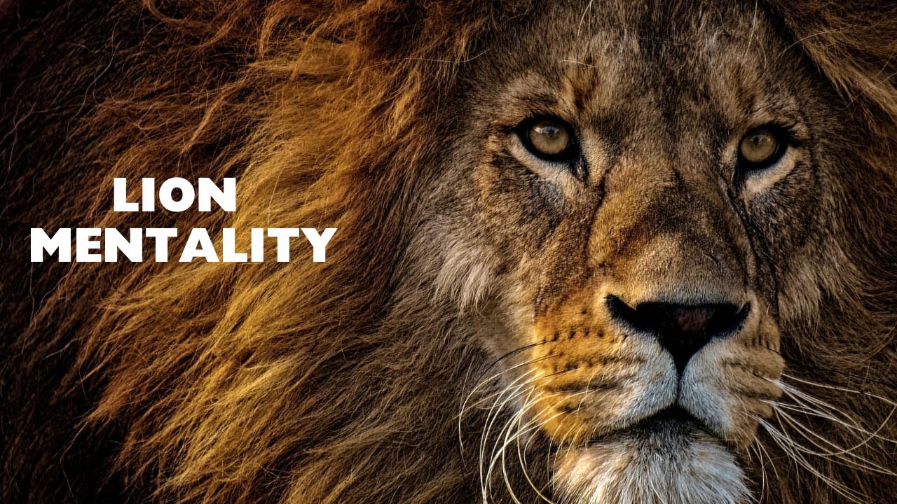 LION MENTALITY - Motivational Video | Unstoppable Mindset - YouTube