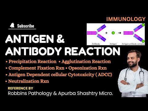 Antigen & Antibody Reaction | Agglutination | Precipitation ...