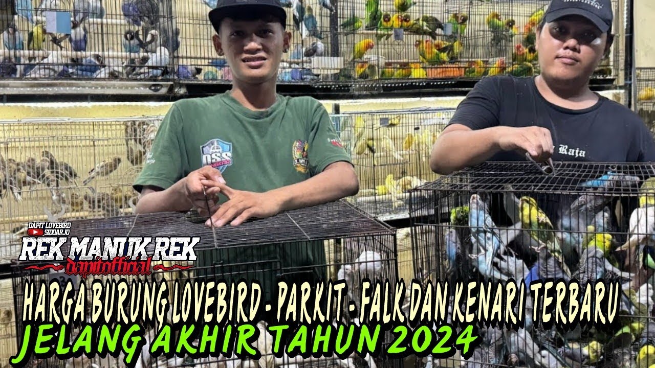 HARGA BURUNG LOVEBIRD - PARKIT - FALK DAN KENARI TERBARU MENJELANG ...