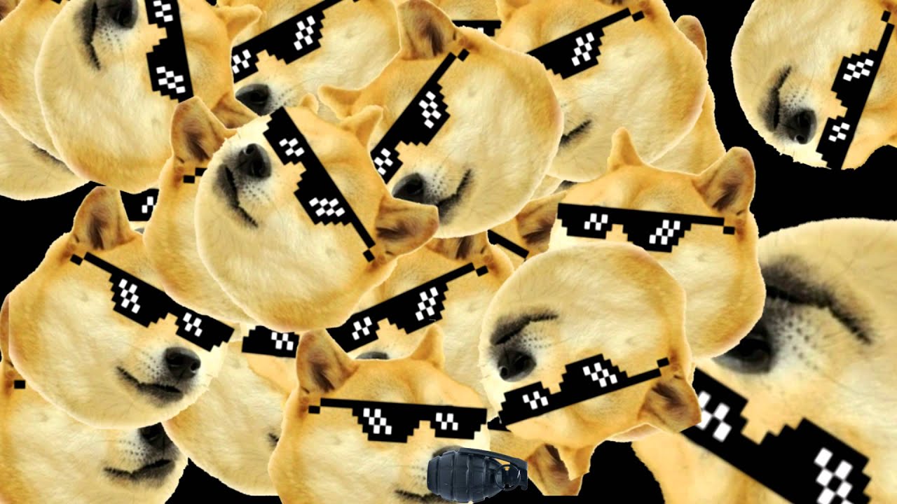 Doge Intro 2 - YouTube