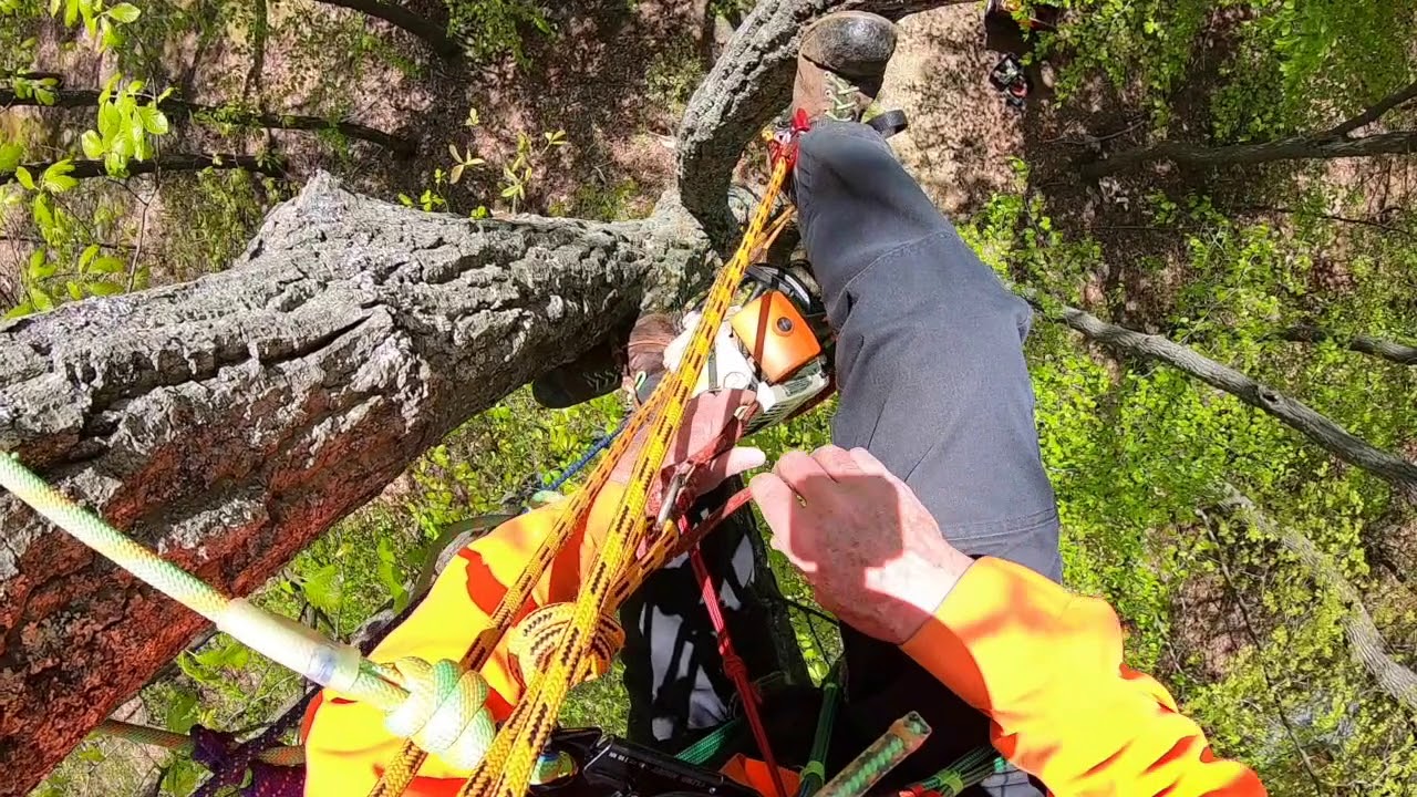 Haul Up - YouTube