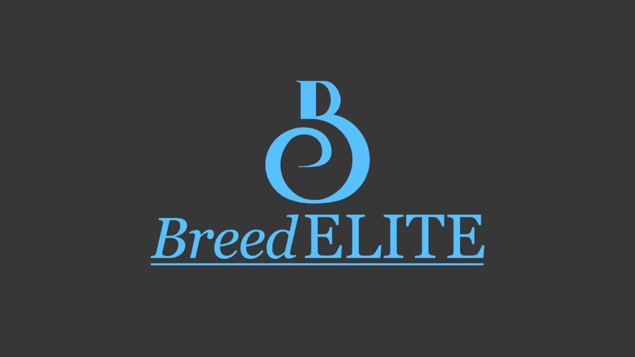 Wicked Simple Sheep Auto Drafter | BreedELITE Sheep System | Wayne ...